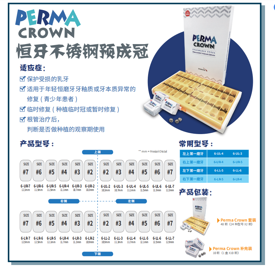 韩国新兴 PERMA CROWN儿童恒牙不锈钢预成冠 套装 48颗 -牙医帮